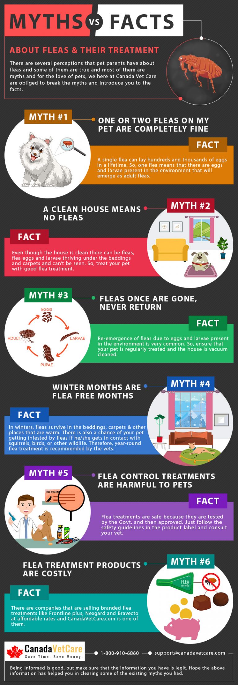 Truth About Fleas And Their Treatment | Canadavetcare.com