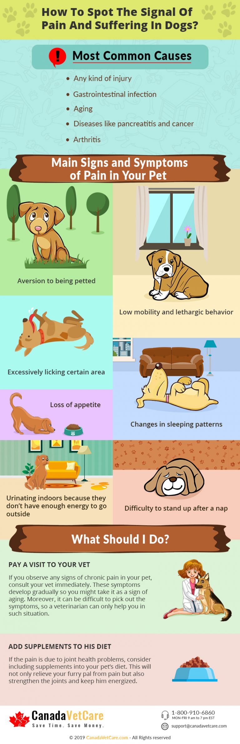 Signs of Pain in Animals : Animal Pain Awareness Month | CanadaVetCare