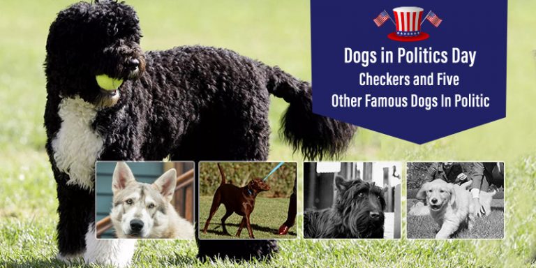 Dogs in Politics Day: Checkers and Five Other Famous Dogs in Politics