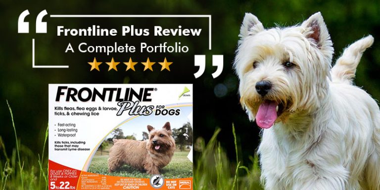 Frontline Plus Review 2021 – How to Use & Their Key Benefits