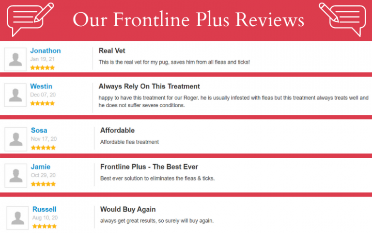 Frontline Plus Review 2021 – How to Use & Their Key Benefits