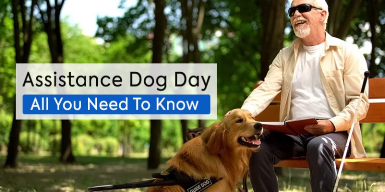 Assistance Dog Day: All You Need To Know - CanadaVetCare Blog