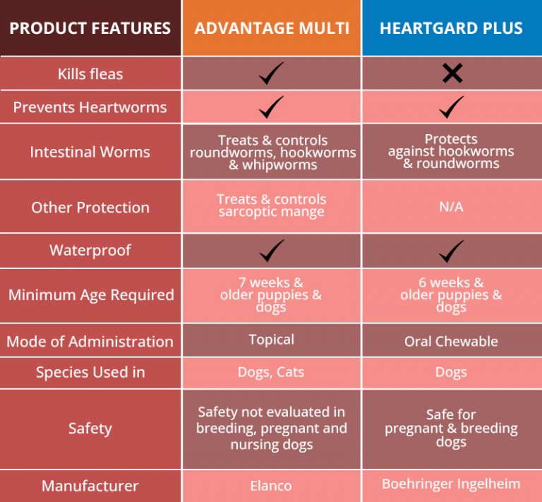 Heartgard Plus vs Advantage Multi: Which One is Best?