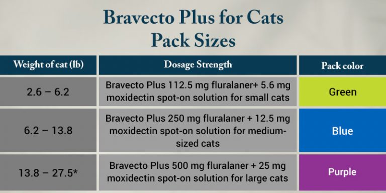 Bravecto Plus for Cats - All You Need to Know - CanadaVetCare Blog