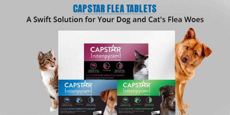 Capstar Flea Tablets: A Swift Solution for Your Dog and Cat's Flea Woes ...