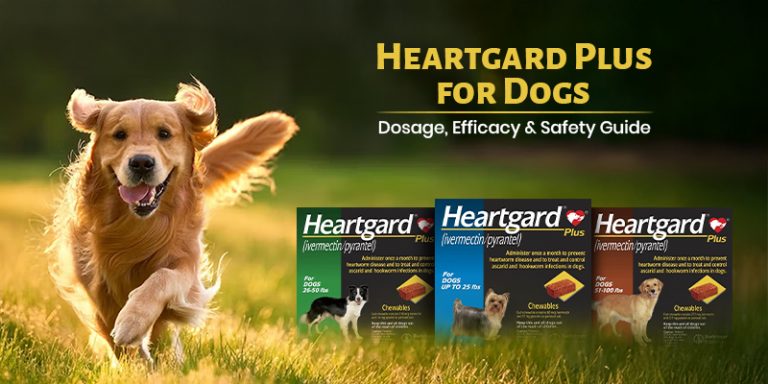 Heartgard Plus for Dogs: Dosage, Efficacy & Safety Guide ...