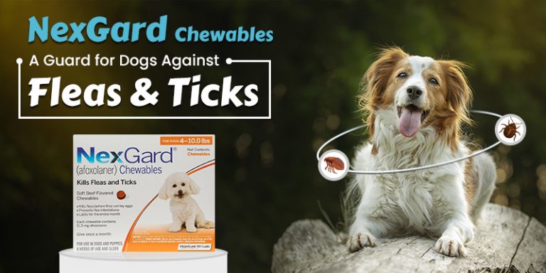 NexGard Chewables: A Guard for Dogs Against Fleas & Ticks ...